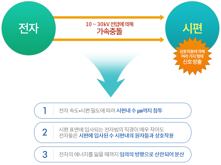 SEM 기술소개 | SEC