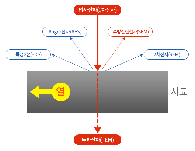 SEM 기술소개 | SEC
